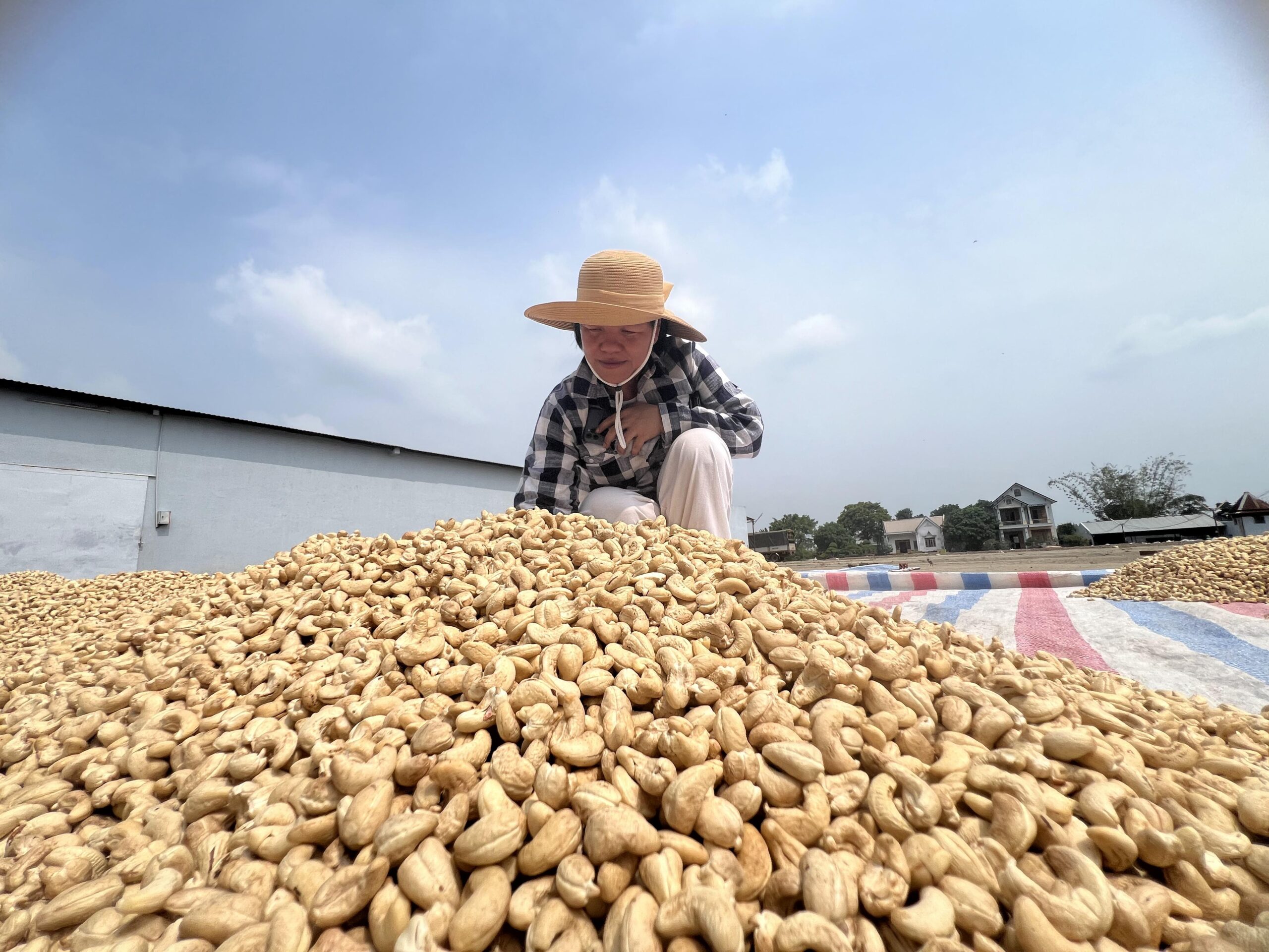 Home - Duc Thinh Dak Lak