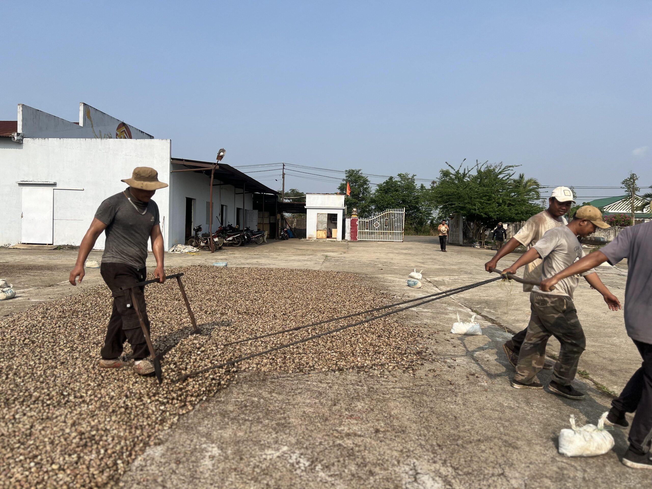 Home - Duc Thinh Dak Lak