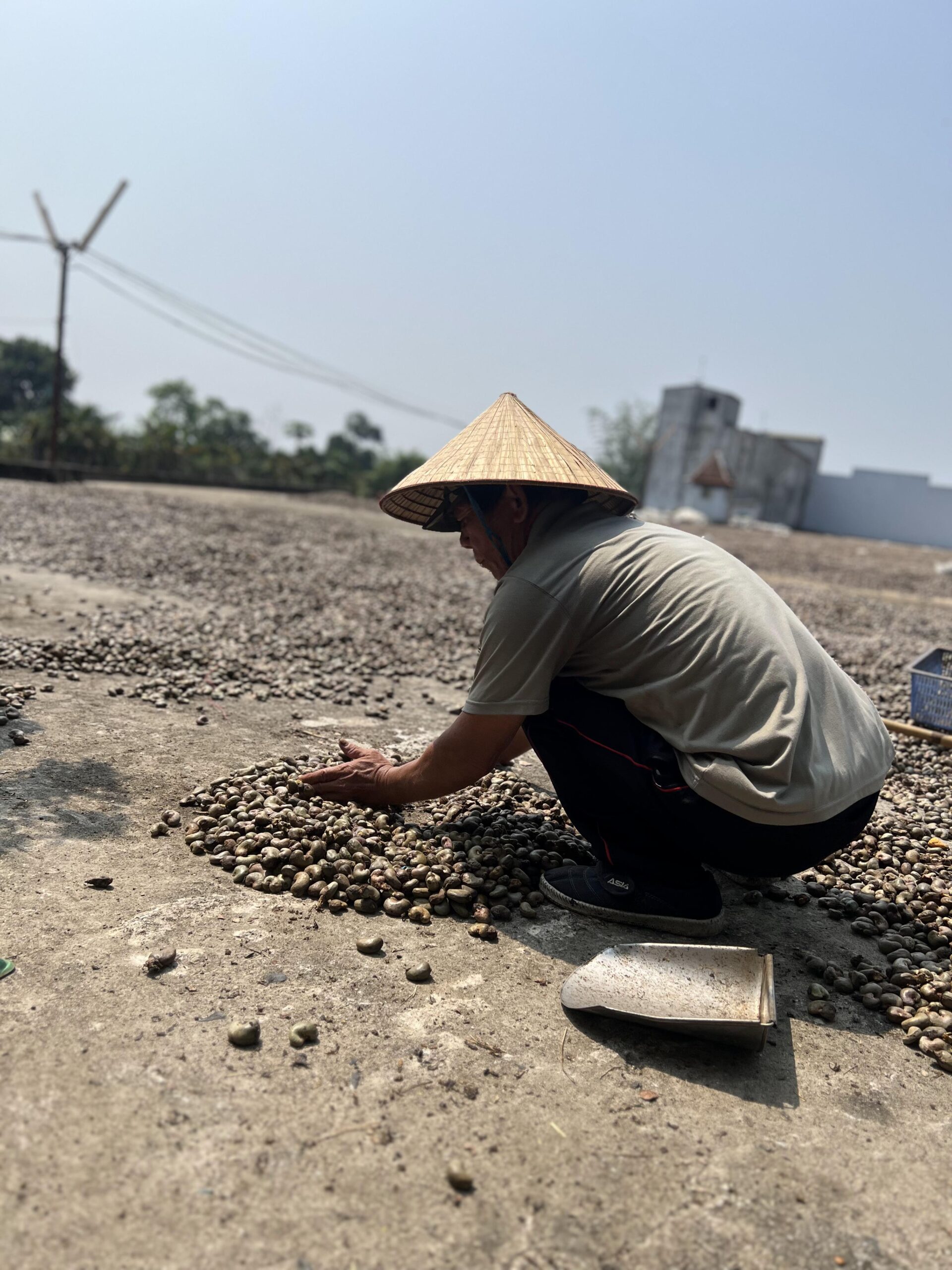 Home - Duc Thinh Dak Lak