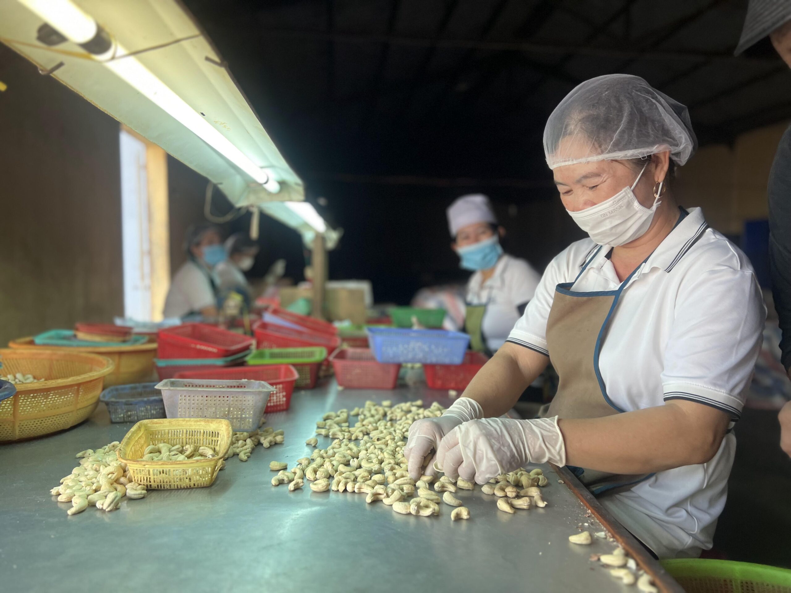 Home - Duc Thinh Dak Lak